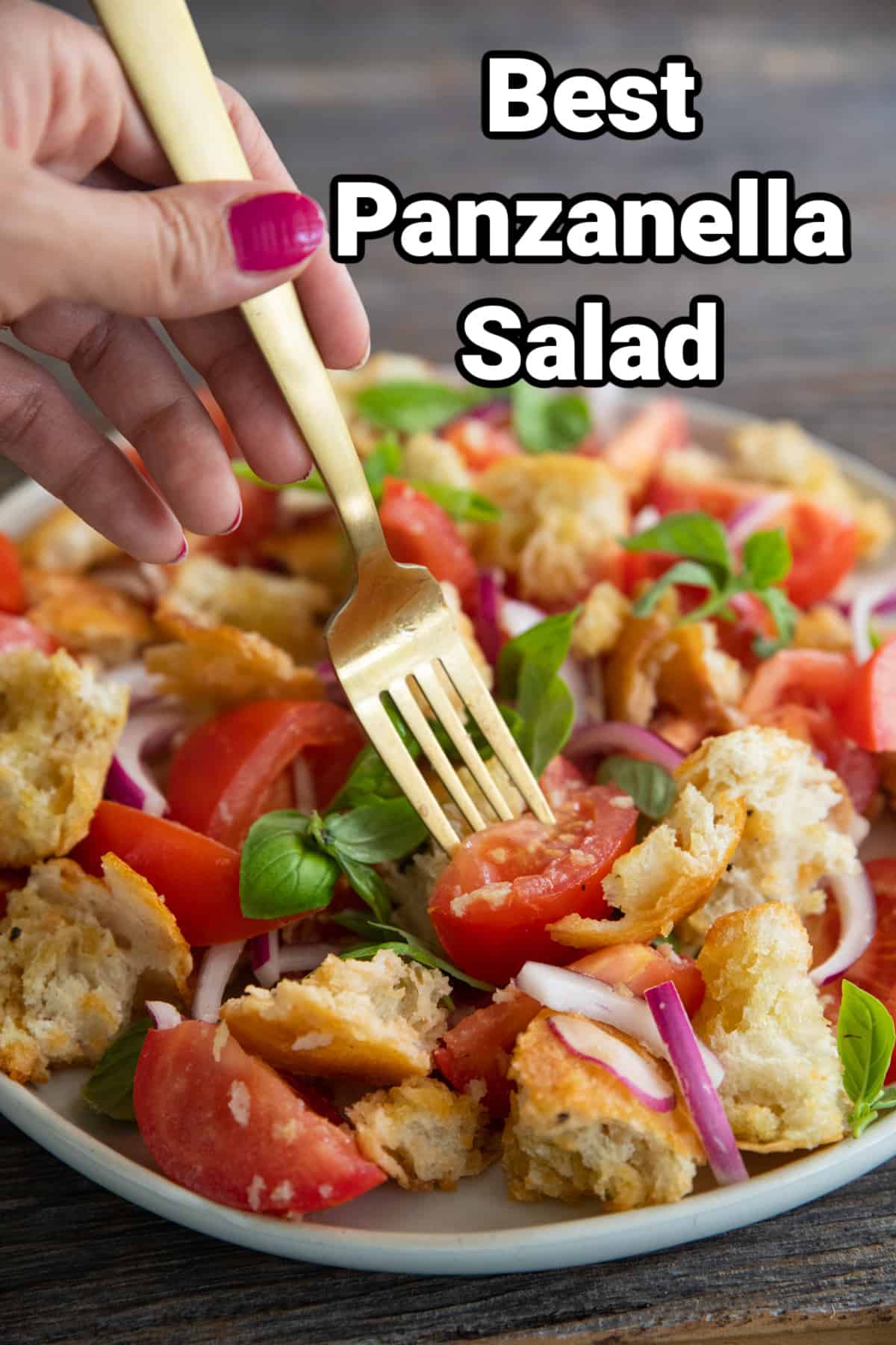 Panzanella (Tuscan Tomato And Bread Salad) • Unicorns in the Kitchen