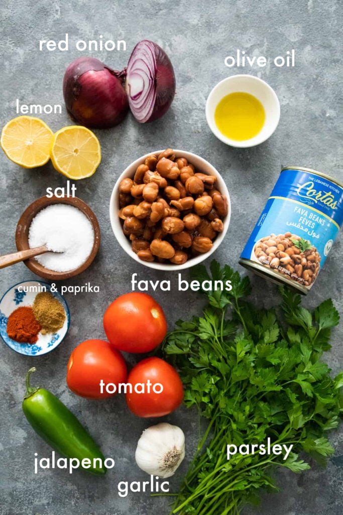 Ful Medames (Egyptian Fava Beans) • Unicorns in the Kitchen