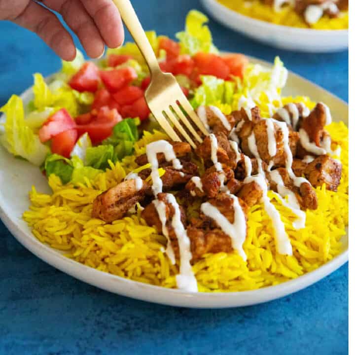 Halal Cart Chicken and Rice • Unicorns in the Kitchen