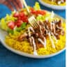 Halal Cart Chicken and Rice • Unicorns in the Kitchen