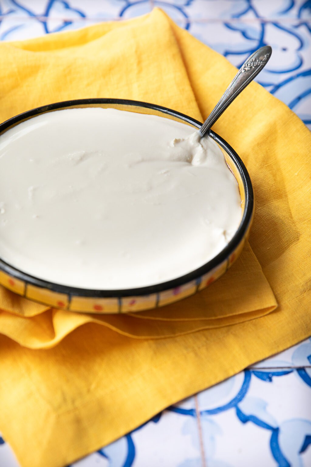 Homemade Kashk • Unicorns in the Kitchen