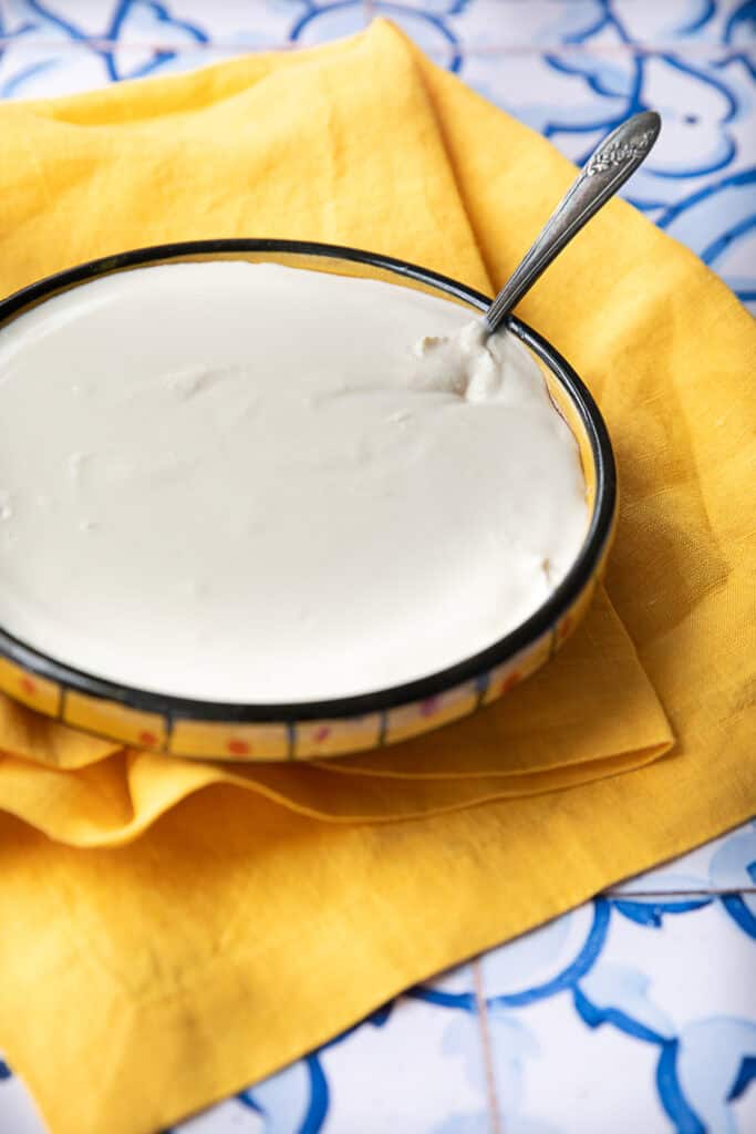 Homemade Kashk • Unicorns in the Kitchen