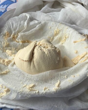 Homemade Kashk • Unicorns in the Kitchen