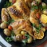 Juicy Roasted Spatchcock Chicken • Unicorns in the Kitchen