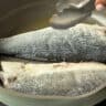 Fish Tahdig • Unicorns in the Kitchen